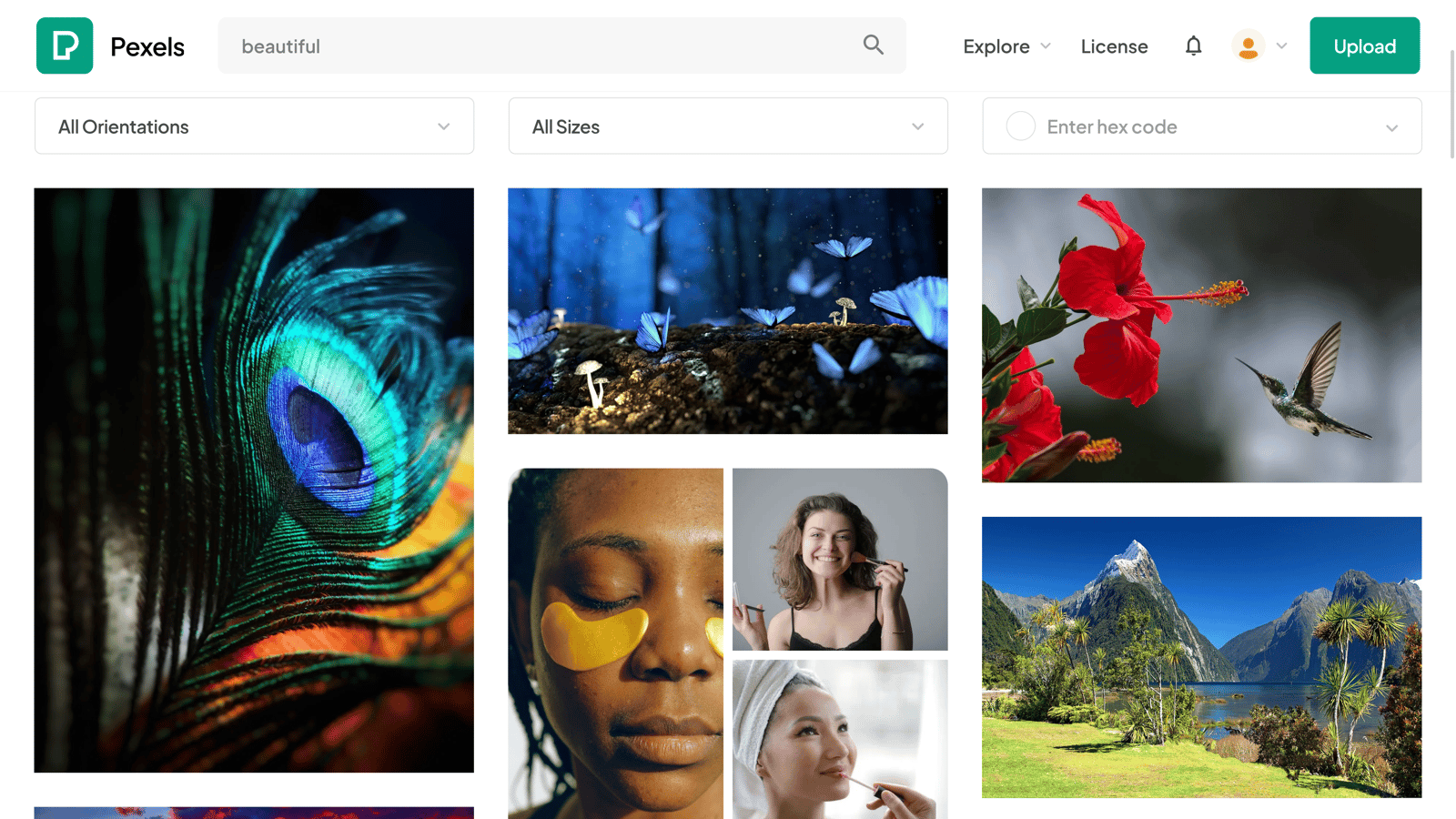 Pexels Review: Free Stock Photos, What's the Catch? | EXPERTE.com
