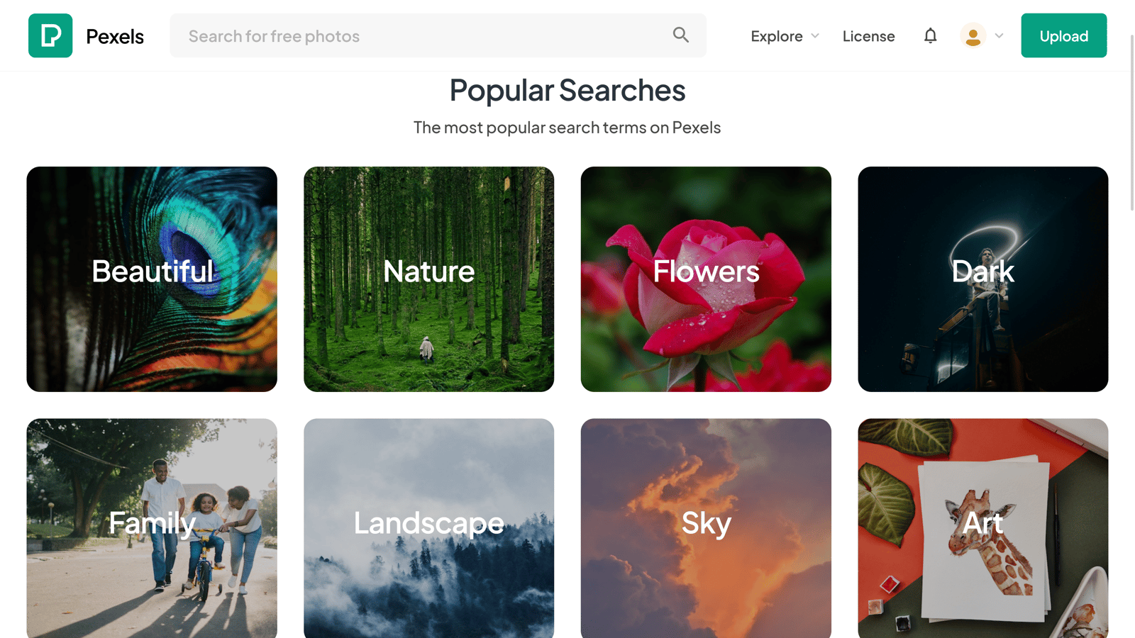 Pexels Review: Free Stock Photos, What's the Catch? | EXPERTE.com